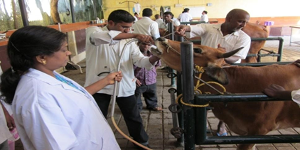 BLOG-14: Skill development in Veterinary Education | AESA