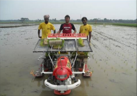 Transplanting Rice Seedling Using Machine Transplanter: A Potential ...