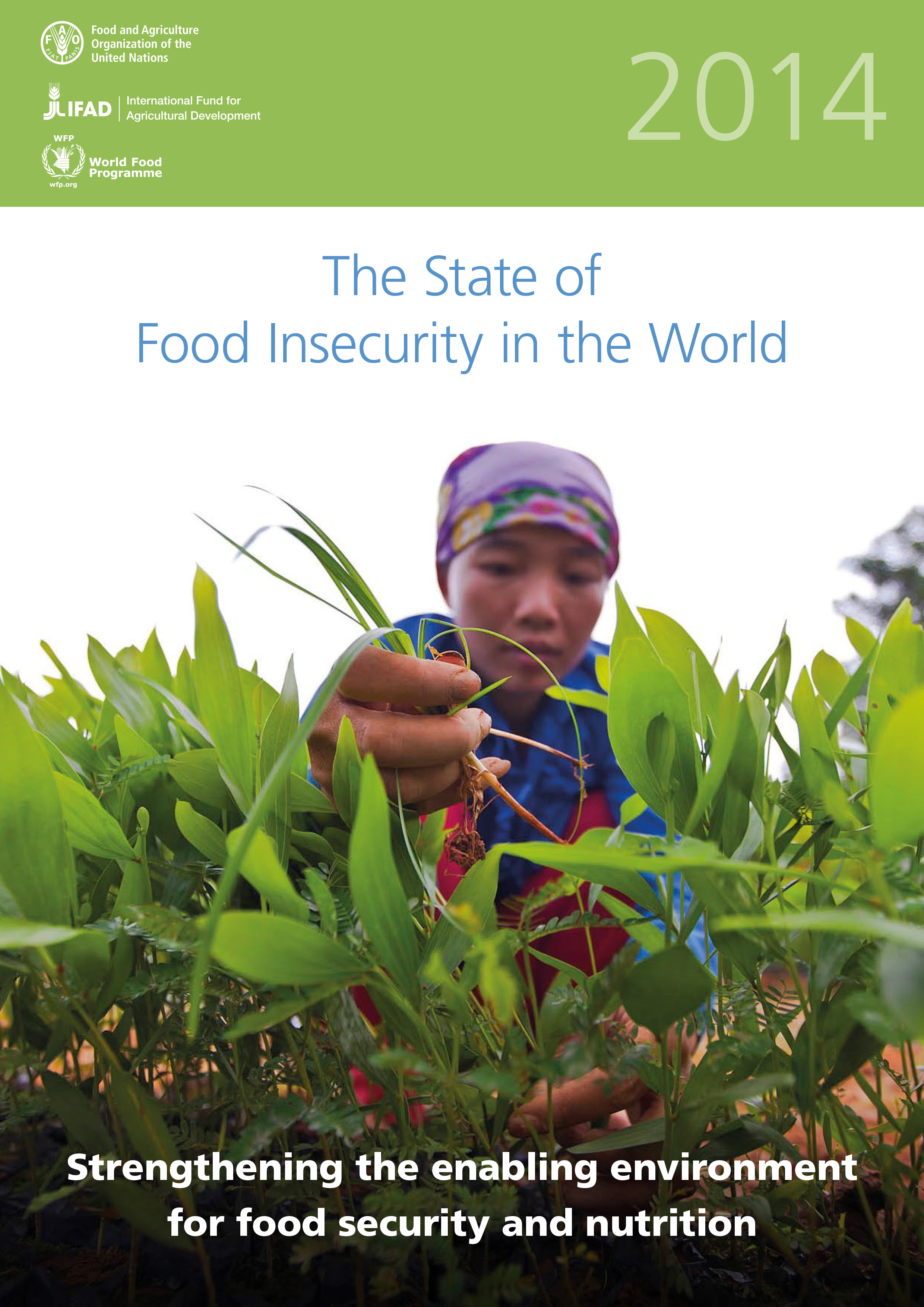 The-State-of-Food-Insecurity-in-the-World-Strengthening-the-enabling ...