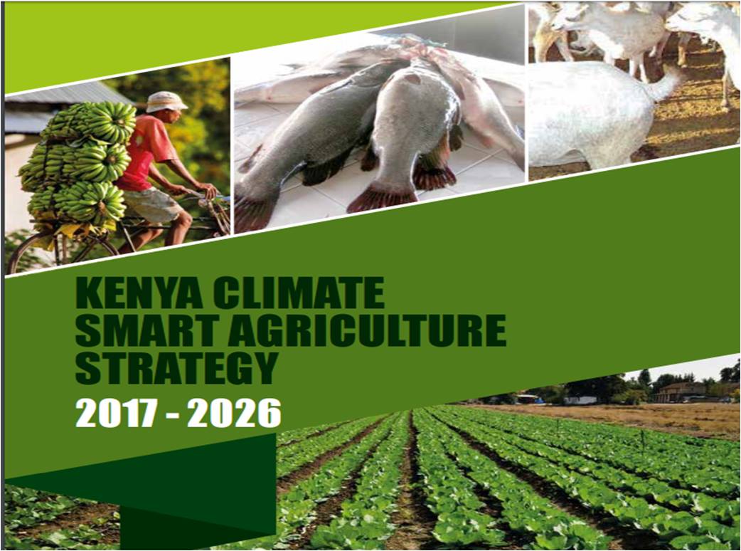 Kenya Climate Smart Agriculture Strategy 2017 - 2026 | AESA