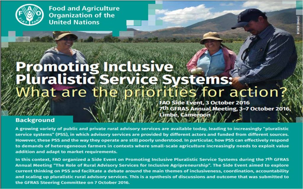 Promoting Inclusive Pluralistic Service Systems: What are the ...