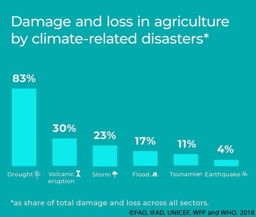 Blog 91- Natural Disasters and Extension & Advisory Services (EAS ...