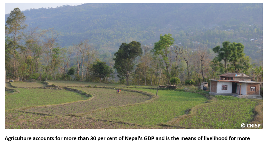 Blog 95- Agriculture Extension Service Delivery in Federal Nepal ...