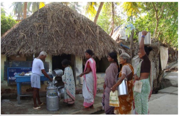 Indian Dairy Cooperatives