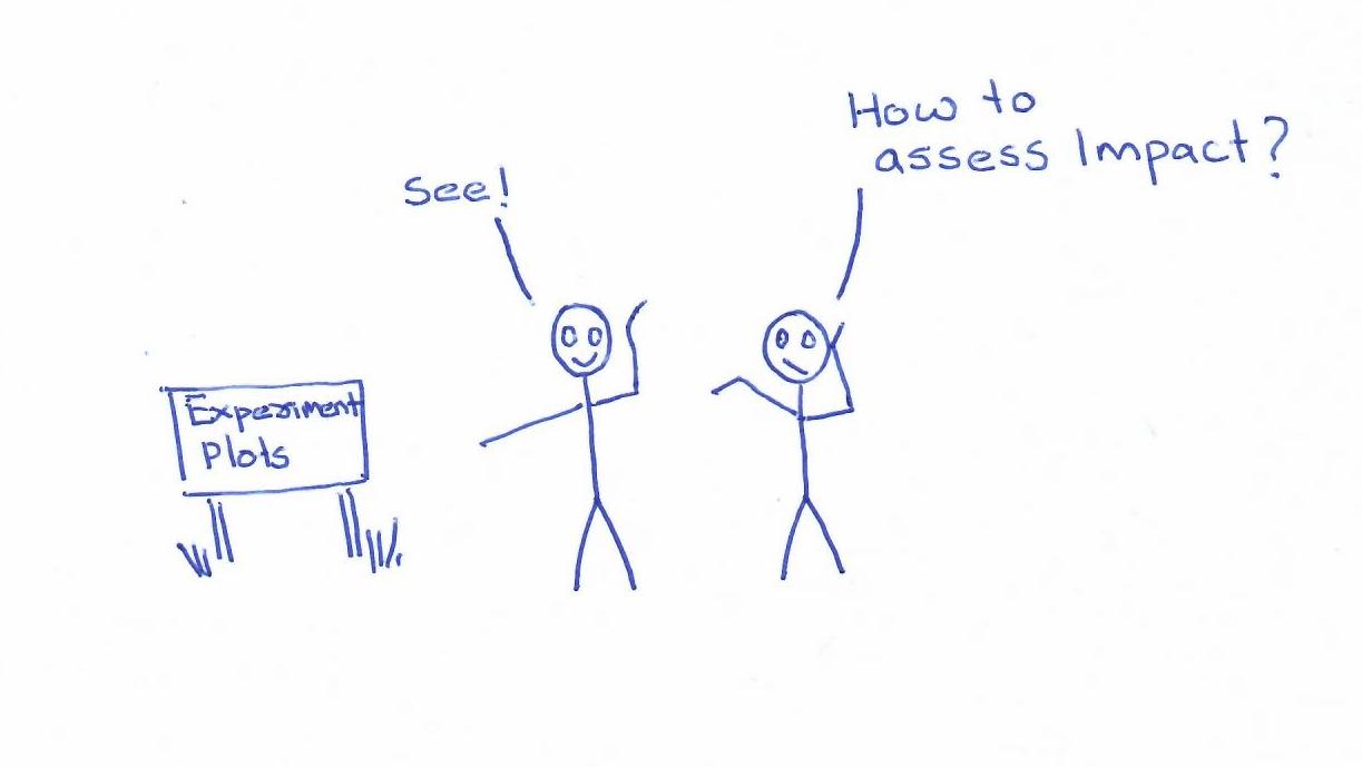 Blog 104-What, Why, and How to do Impact Assessment | Agricultural ...