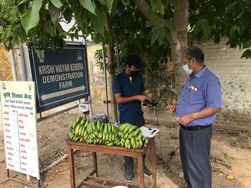 Field Notes 10- Harvest your Vegetables at a KVK Farm | Welcome to AESA