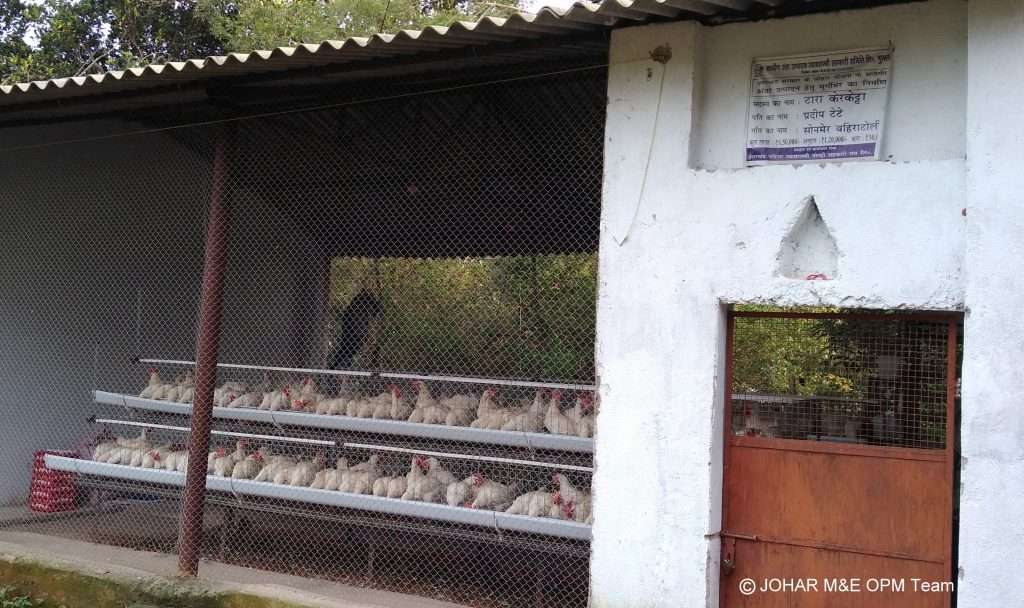 GOOD PRACTICE 37- Transforming Rural Livelihoods through Egg Farming | AESA