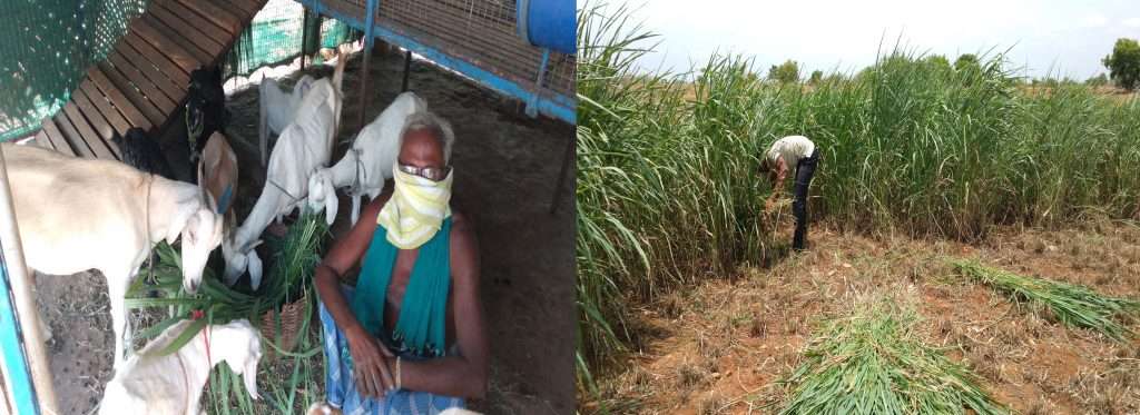 GOOD PRACTICES 42-Interventions to Improve Production and Productivity ...