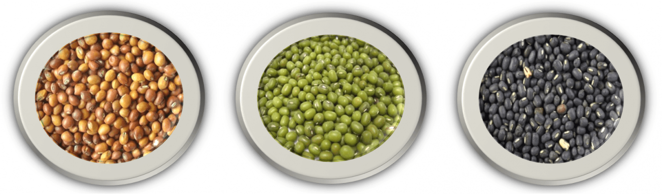 GOOD PRACTICES 41-Quality Seed Production of Pulses through Pulse Seed ...