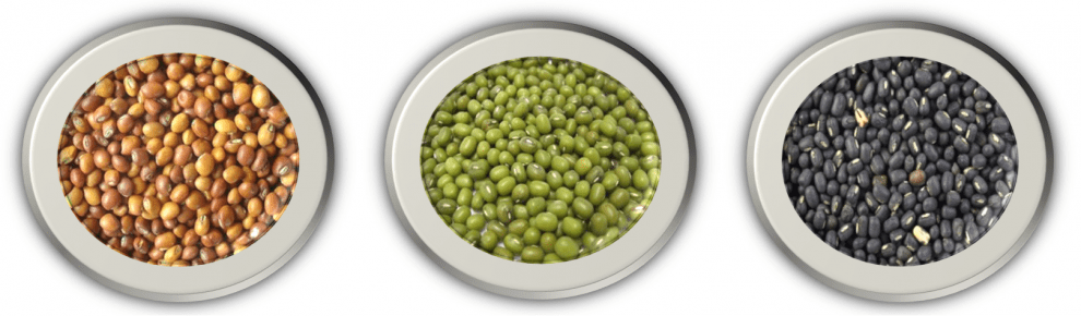 GOOD PRACTICES 41-Quality Seed Production of Pulses through Pulse Seed ...