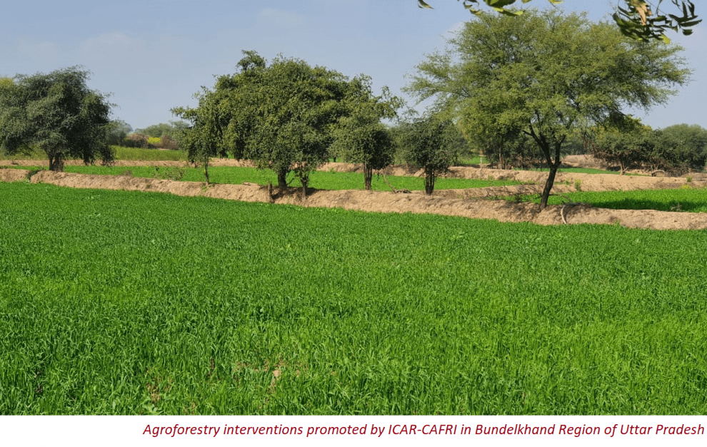 WEBINAR -“Developing Grassroots Level Extension Mechanism and Capacity ...