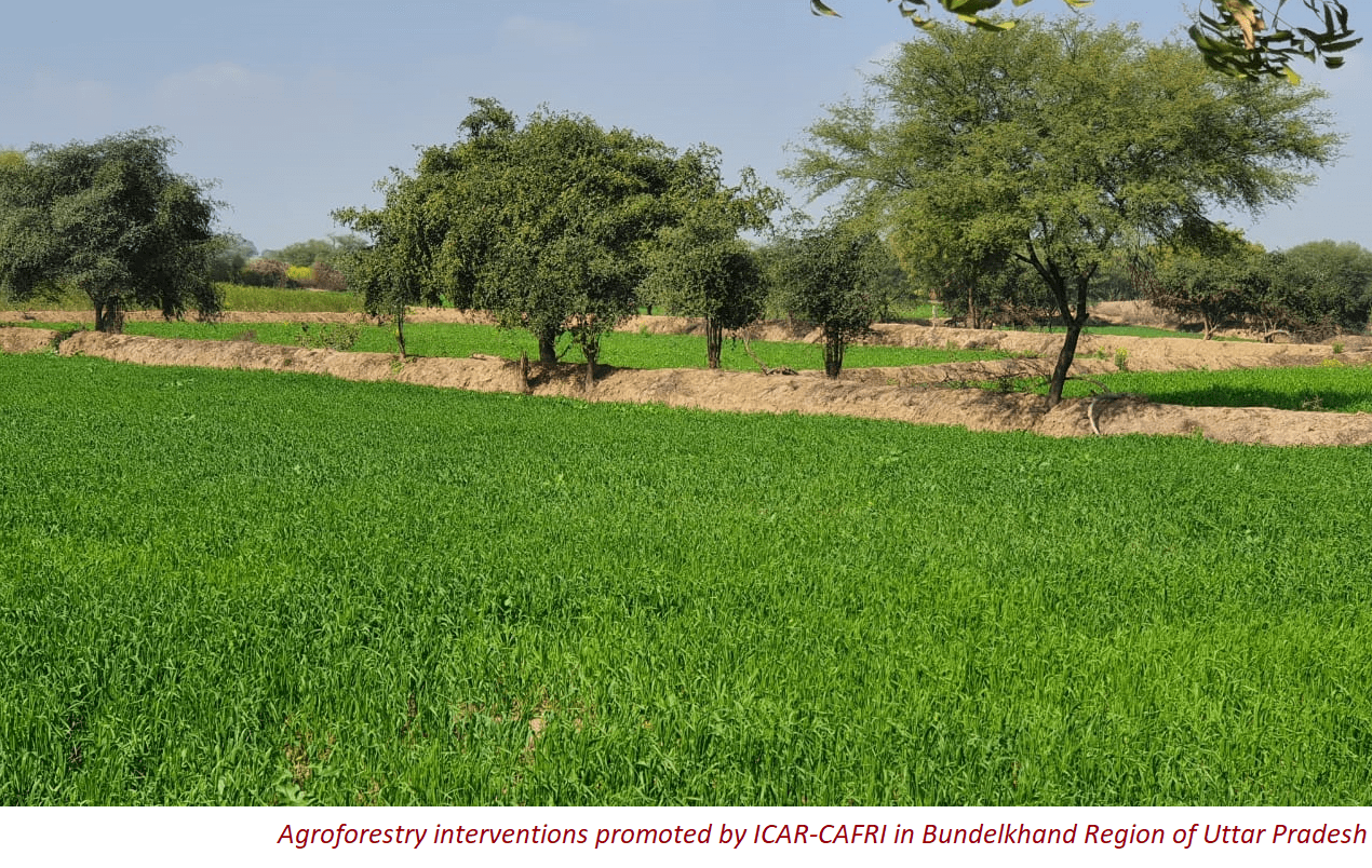 WEBINAR -“Developing Grassroots Level Extension Mechanism and Capacity ...