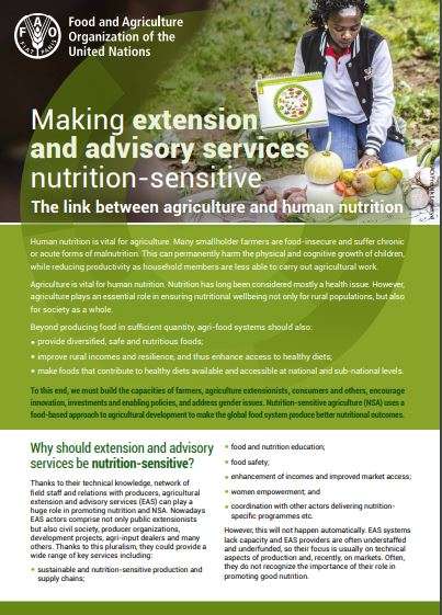 Making extension and advisory services nutrition-sensitive 2021 | AESA