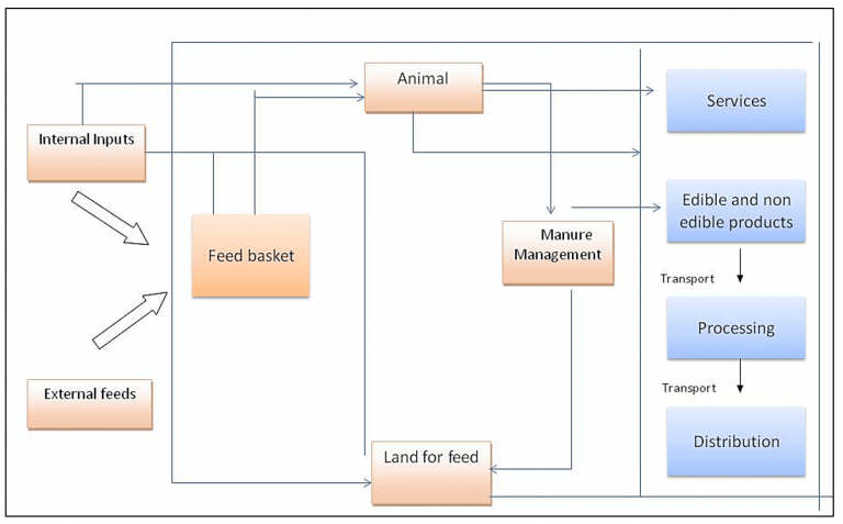 Blog 146- Life Cycle Assessment (LCA) As a Methodological Approach ...