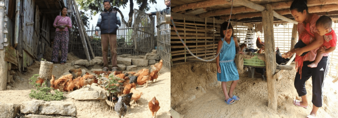 GOOD PRACTICES 46- Empowering Rural Women through Backyard Poultry in ...