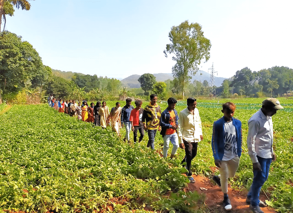 GOOD PRACTICES 47-Empowering Youth in Agriculture: Pragati’s ...