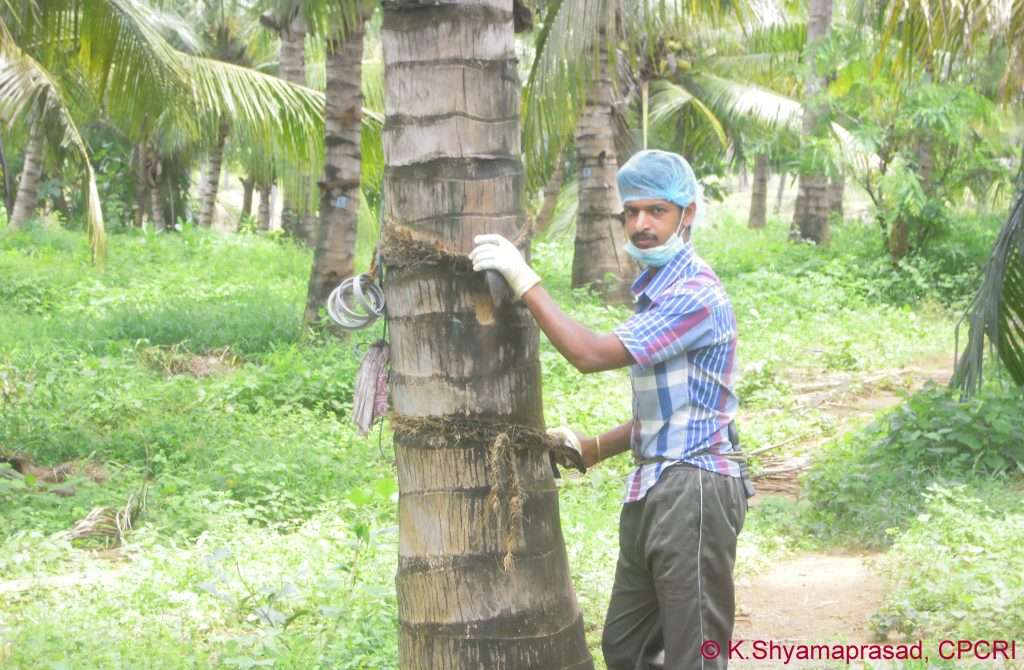 Blog 156- How to Not Promote Farmer Producer Organisations: Learning ...