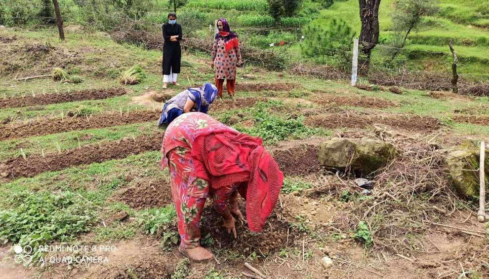 GOOD PRACTICES 50- Community Fodder Interventions Through Convergence ...