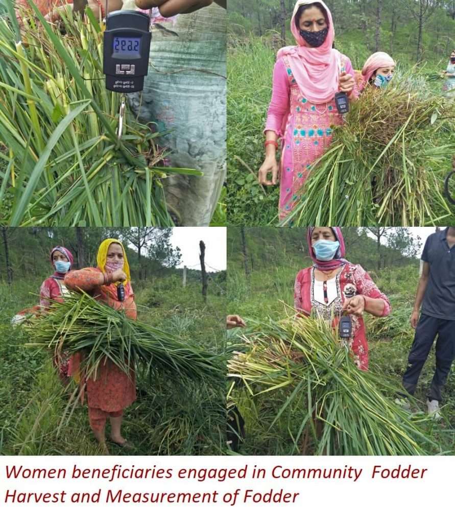 GOOD PRACTICES 50- Community Fodder Interventions Through Convergence ...