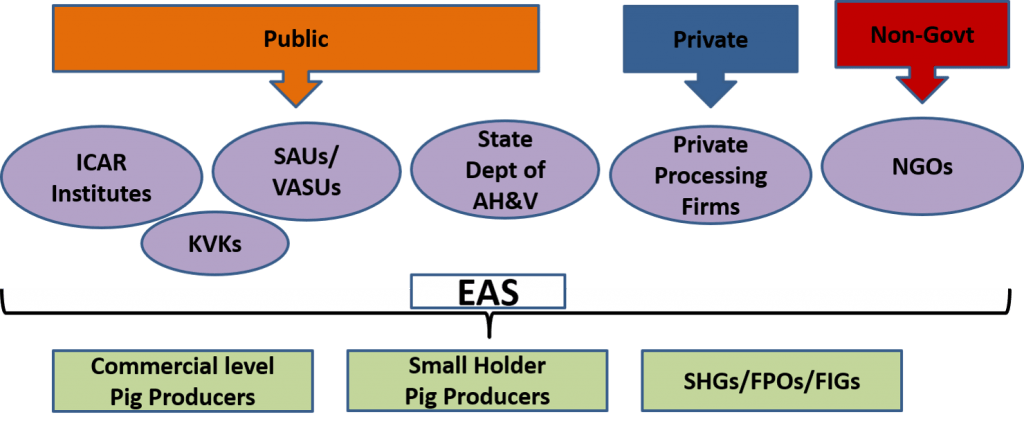 Blog 173-Uplifting the Piggery Sector in India: Role of EAS | AESA