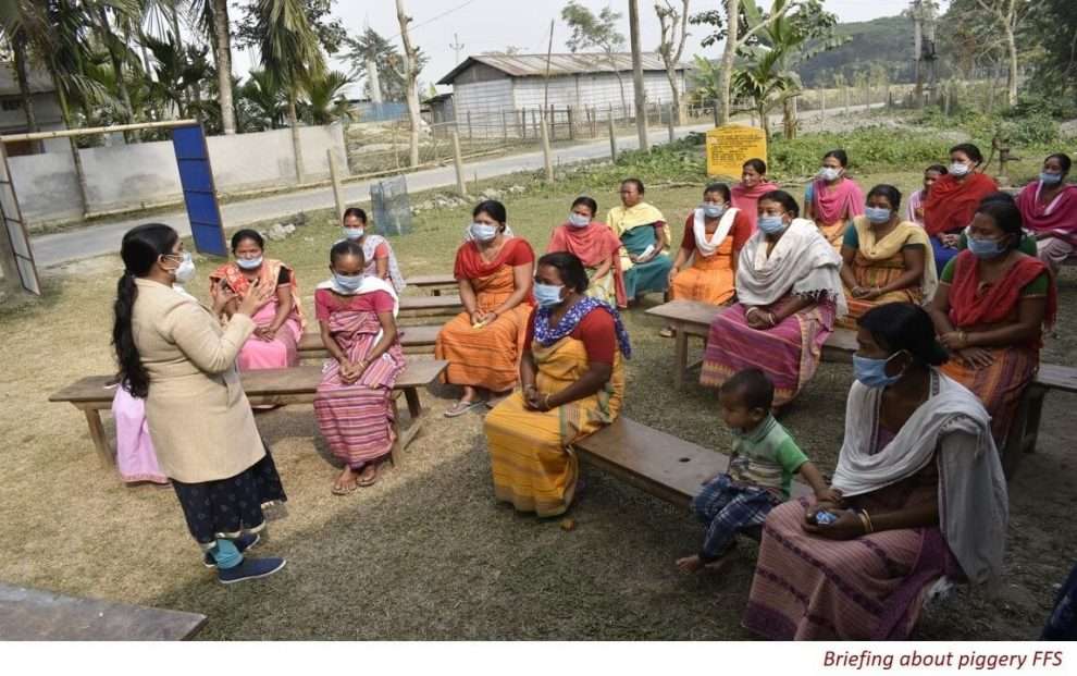 GOOD PRACTICES 54- Piggery Farmer Field School: Building the Capacity ...