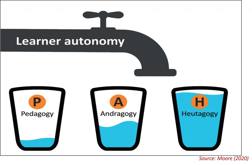 Blog 195- Application of Heutagogy in Agricultural Education and ...