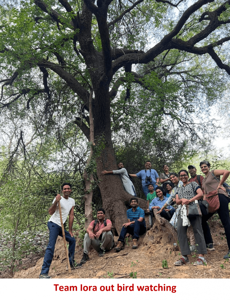 Blog 196-Prioritizing Nature-Based Solutions for Resilient Communities ...