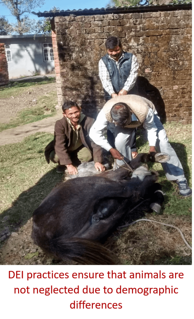 Blog 198- Promoting Diversity, Equity & Inclusiveness in the Veterinary ...