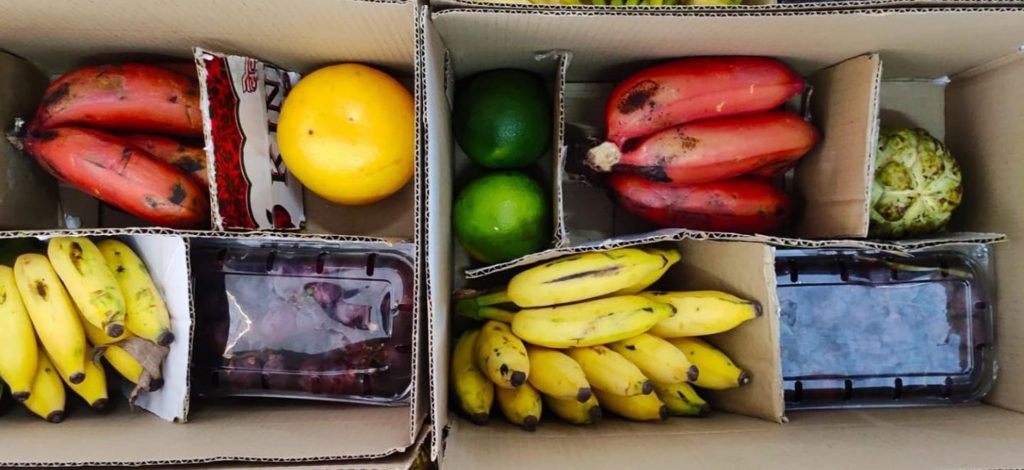 Fostering Traceability and Trust in the Organic Produce Value Chain ...