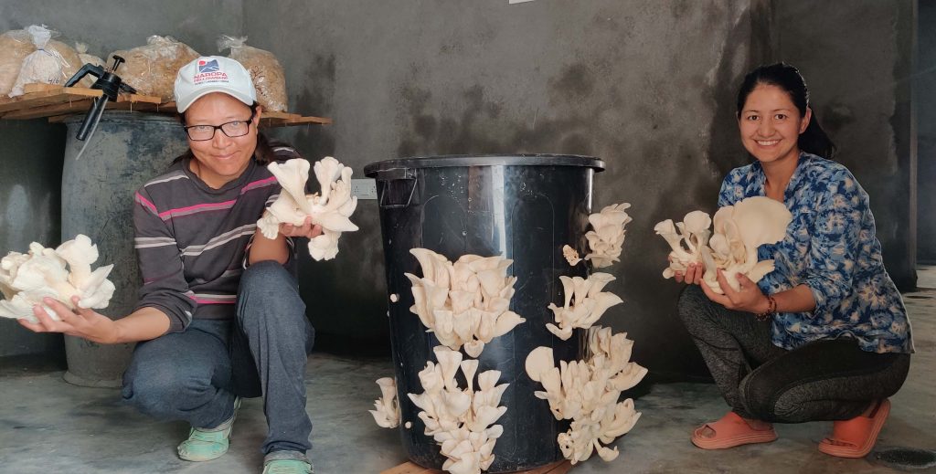 The Mushroom Maverick: A Conversation With Ladakh's Inspiring Young Woman Entrepreneur | AESA