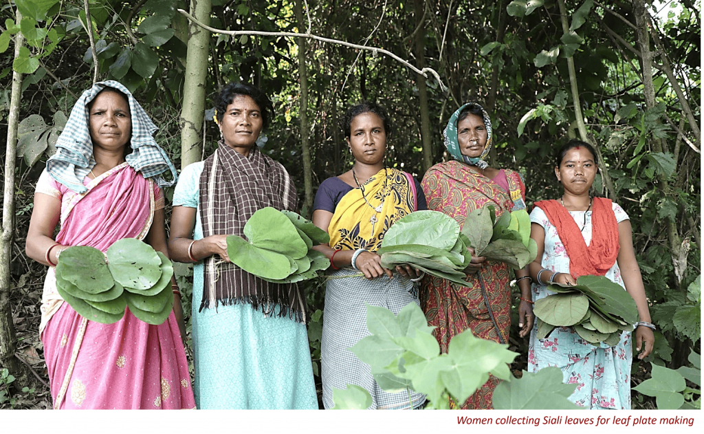 Blog 204- Strengthening Local Forest Governance to Restore Forests | AESA