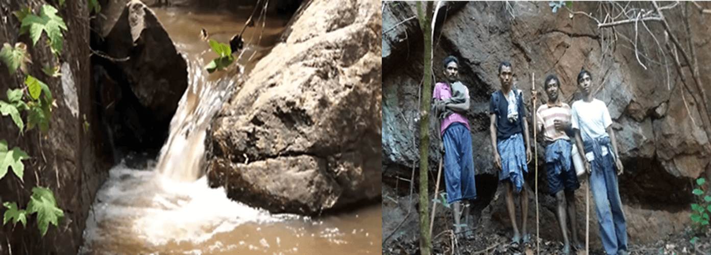 Blog 204- Strengthening Local Forest Governance to Restore Forests | AESA