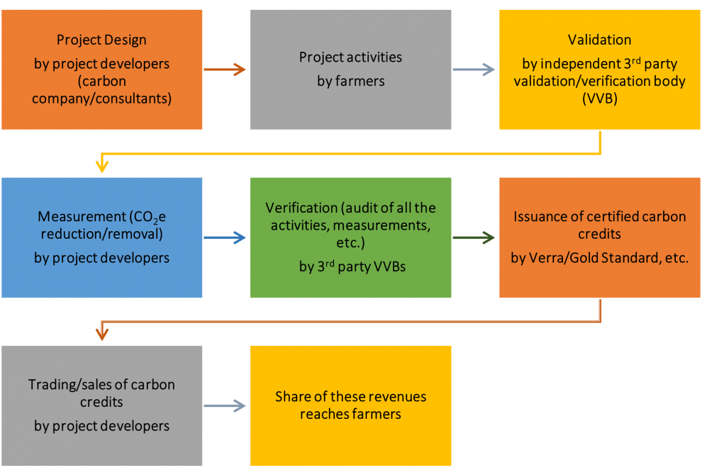 Blog 205-Understanding Carbon Credits from Agriculture | AESA