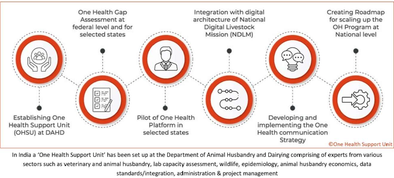 Blog 207-One Health Paradigm: The Way Forward to a Healthier Future for ...