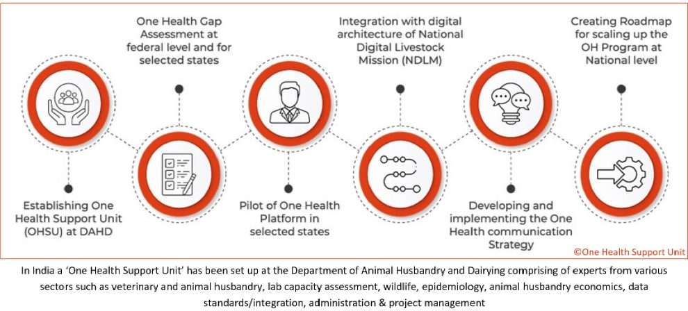Blog 207-One Health Paradigm: The Way Forward to a Healthier Future for ...