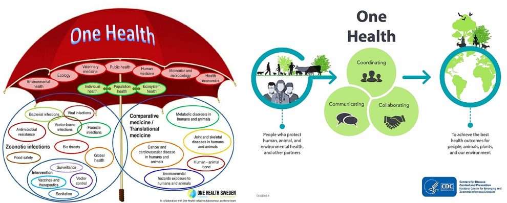 Blog 207-One Health Paradigm: The Way Forward to a Healthier Future for ...