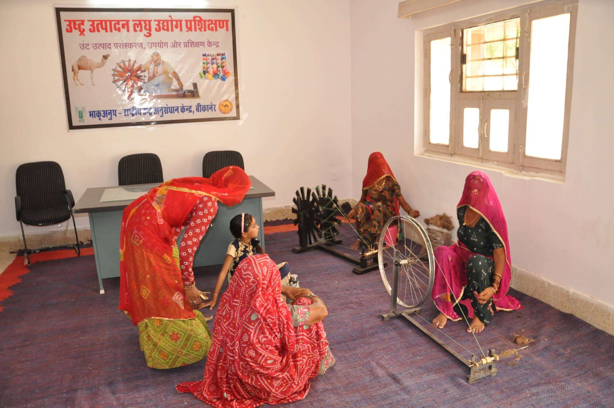 Blog 209-International Year of Camelids (IYC-2024): Significance and ...