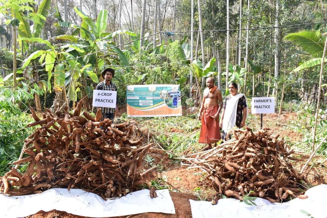 Blog 216-e-Crop-Based Smart Farming | AESA