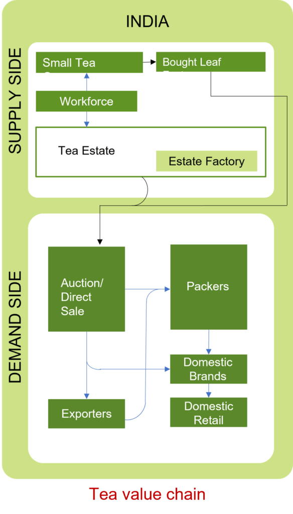 Blog 220-Tea Leaves and Triumphs: Paving the Way for Small Tea Growers ...